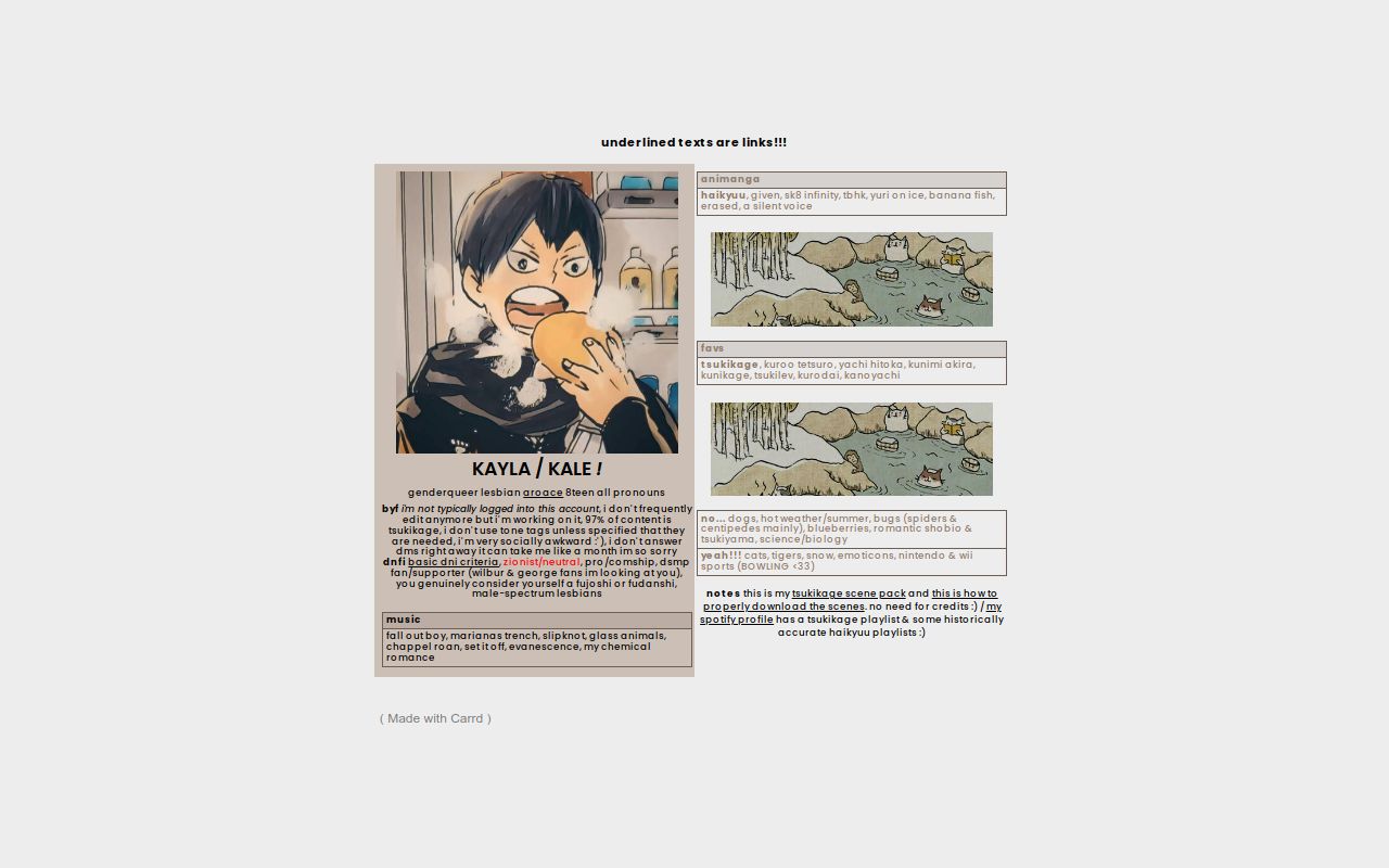 kayla's tiktok carrd